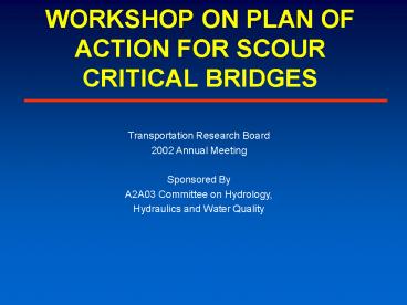 WORKSHOP ON PLAN OF ACTION FOR SCOUR CRITICAL BRIDGES presentation ...