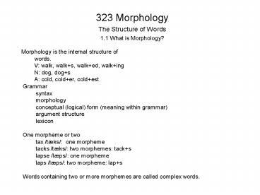 323 Morphology presentation | free to download