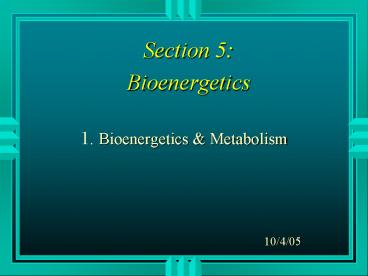 PPT – Section 5: Bioenergetics PowerPoint presentation | free to view ...