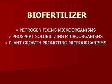 PPT – BIOFERTILIZER PowerPoint presentation | free to download - id: 44b6a3-Yzk0O