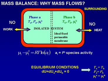 MASS BALANCE: WHY MASS FLOWS? presentation | free to view
