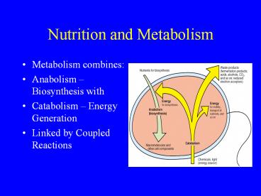 Nutrition and Metabolism presentation | free to download