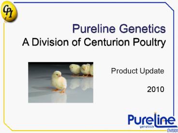 Pureline Genetics A Division of Centurion Poultry presentation | free ...