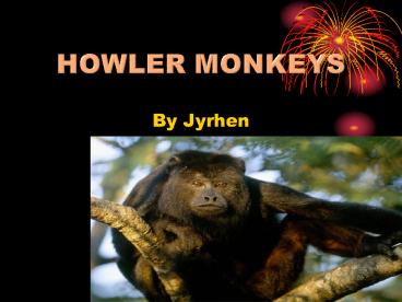 PPT – Howler Monkeys PowerPoint presentation | free to view - id: 45a8dc-MjBjY