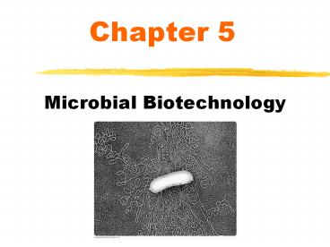 Microbial Biotechnology presentation | free to download