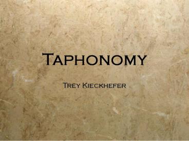 Taphonomy presentation | free to download