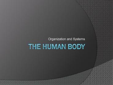 The Human Body presentation | free to view