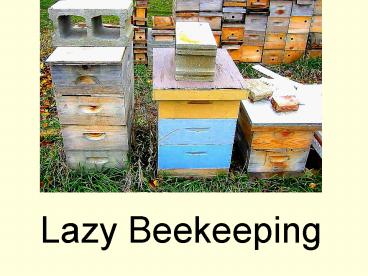 PPT – Beekeeping PowerPoint presentation | free to download - id ...