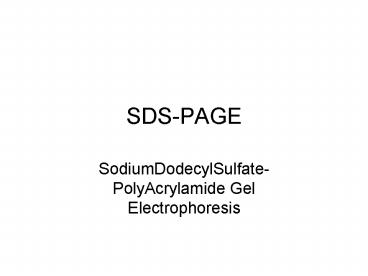 SDS-PAGE presentation | free to view