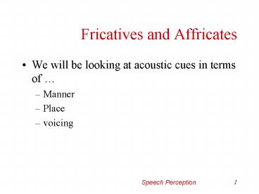 Fricatives and Affricates presentation | free to view
