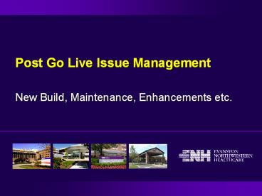 Post Go Live Issue Management presentation | free to download