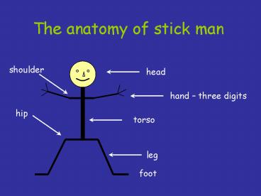 PPT – The anatomy of stick man PowerPoint presentation | free to ...