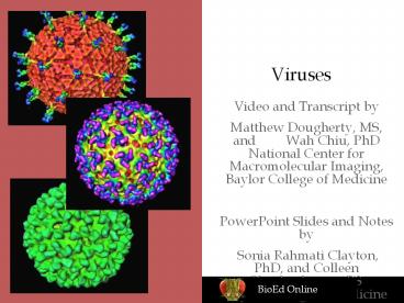 Viruses presentation | free to download