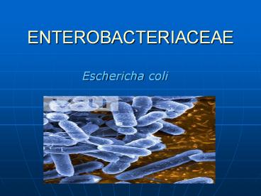 ENTEROBACTERIACEAE presentation | free to view