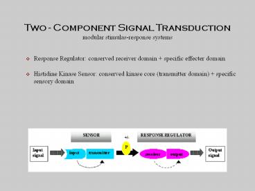 Two - Component Signal Transduction presentation | free to download