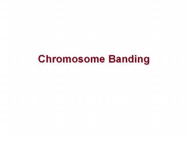 Chromosome Banding presentation | free to download