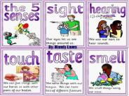 PPT – The five senses PowerPoint presentation | free to view - id ...