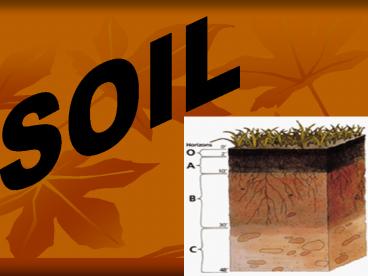PPT – SOIL PowerPoint presentation | free to view - id: 4717d2-Y2E4M