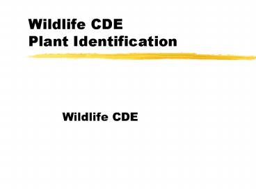 Wildlife CDE Plant Identification presentation | free to view