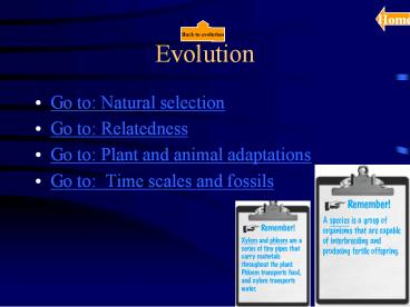 PPT – Evolution PowerPoint presentation | free to download - id: 47bf60 ...