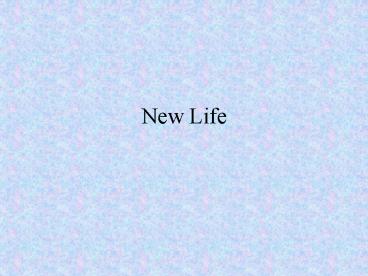 New Life presentation | free to download