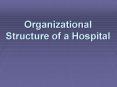 PPT – Organizational Structure of a Hospital PowerPoint presentation ...