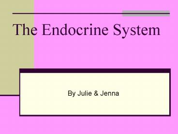 PPT – The Endocrine System PowerPoint presentation | free to view - id ...