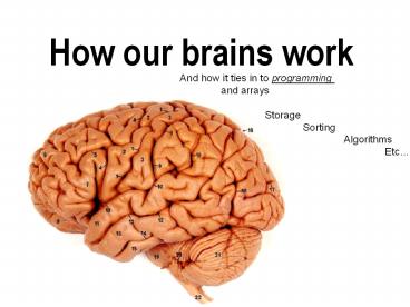 How our brains work presentation | free to download
