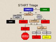 PPT – TRIAGE PowerPoint presentation | free to download - id: 7fa16c-Y2UwN