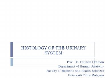 HISTOLOGY OF THE URINARY SYSTEM presentation | free to download
