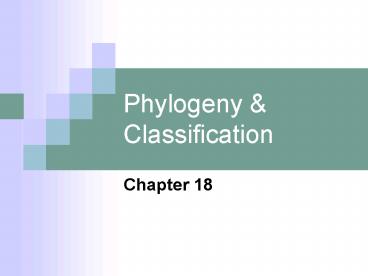PPT – Phylogeny PowerPoint presentation | free to download - id: 4a9ed0 ...