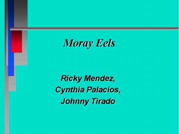 PPT – Moray Eels PowerPoint presentation | free to download - id ...