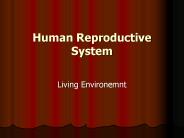 PPT – Human Reproductive System PowerPoint presentation | free to ...