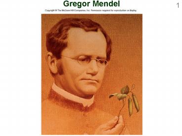 Gregor Mendel presentation | free to download