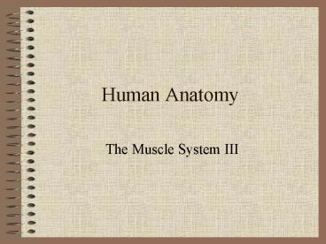 Human Anatomy presentation | free to view