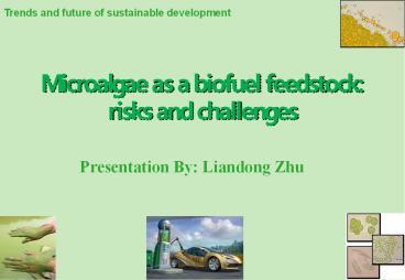 Microalgae as a biofuel feedstock: risks and challenges presentation ...
