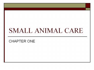 PPT – SMALL ANIMAL CARE PowerPoint presentation | free to view - id ...