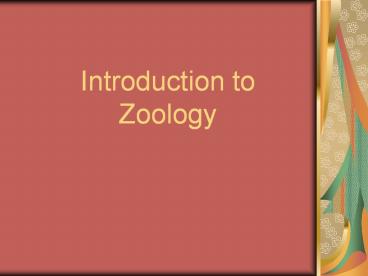 Introduction to Zoology presentation | free to download