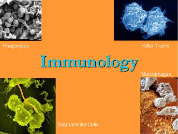 Immunology presentation | free to download