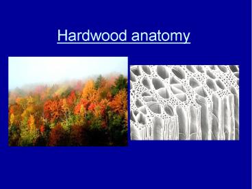 Hardwood anatomy presentation | free to download