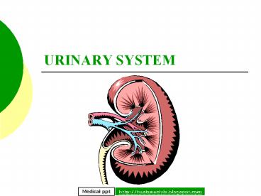 URINARY SYSTEM presentation | free to view