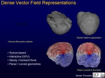 Dense Vector Field Representations presentation | free to download