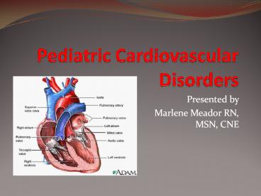 PPT – Pediatric Cardiovascular Disorders PowerPoint presentation | free ...