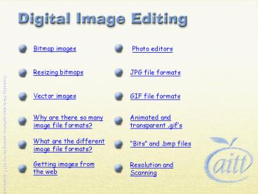 Bitmap image formats presentation | free to download