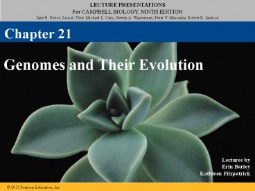 Genomes and Their Evolution presentation | free to download