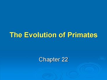 The Evolution of Primates presentation | free to view