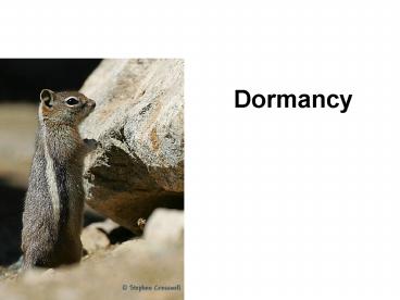 Dormancy presentation | free to view