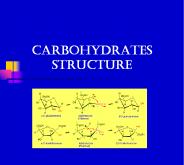 PPT – CARBOHYDRATES PowerPoint presentation | free to download - id ...