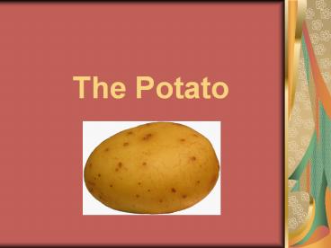 The Potato presentation | free to download