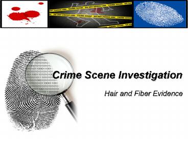 PPT – Crime Scene Investigation PowerPoint presentation | free to ...